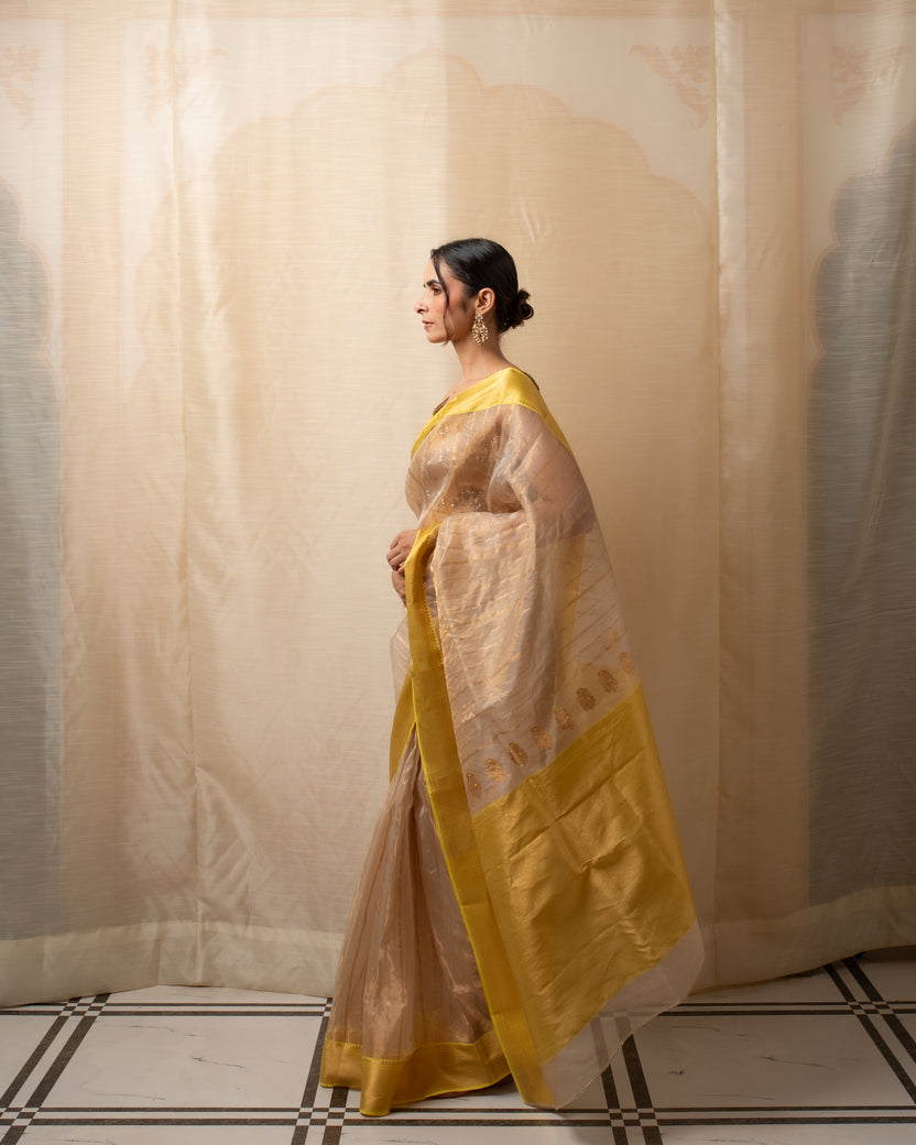 Buy Chanderi Silk Sarees Online at Priyanka Raajiv